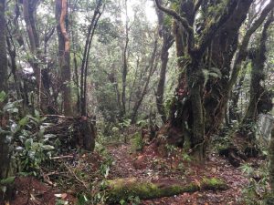 El Pital - Spectacular Mountains