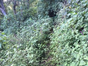 Santa Maria – Spectacular Mountains