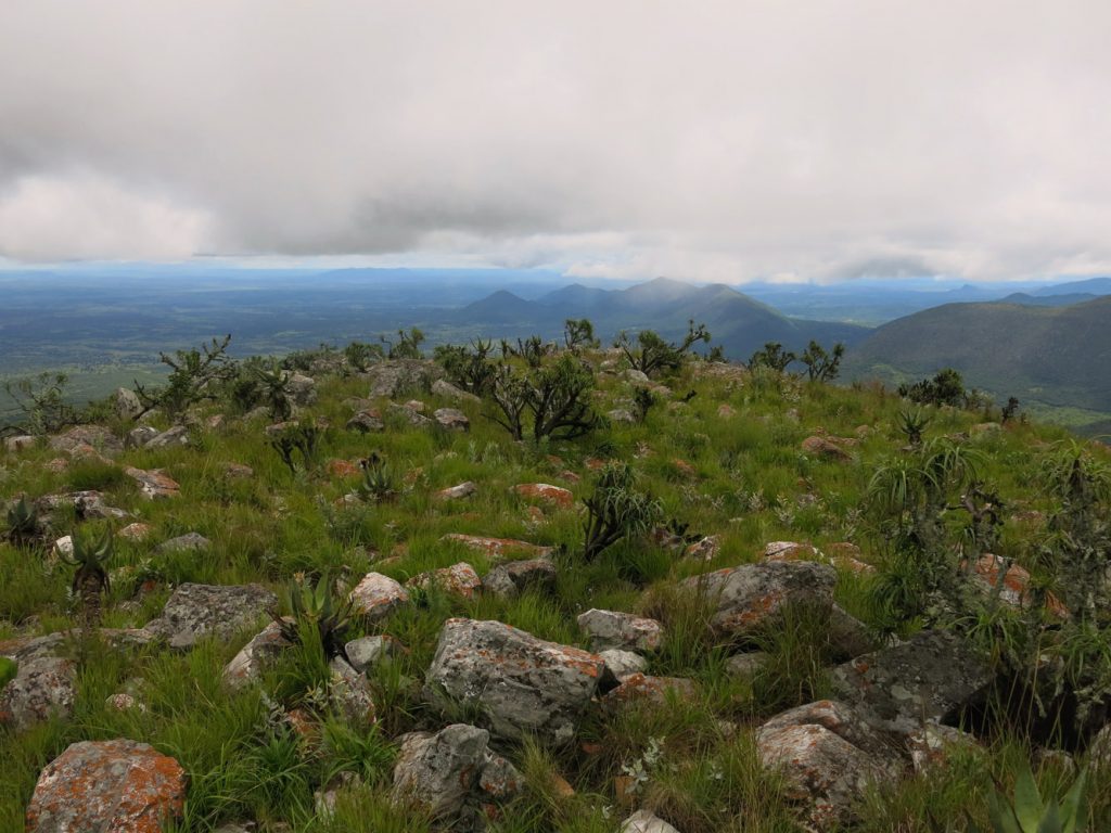 Monte Bonga – Spectacular Mountains