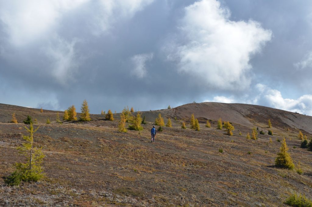 Mount Bruce - Spectacular Mountains