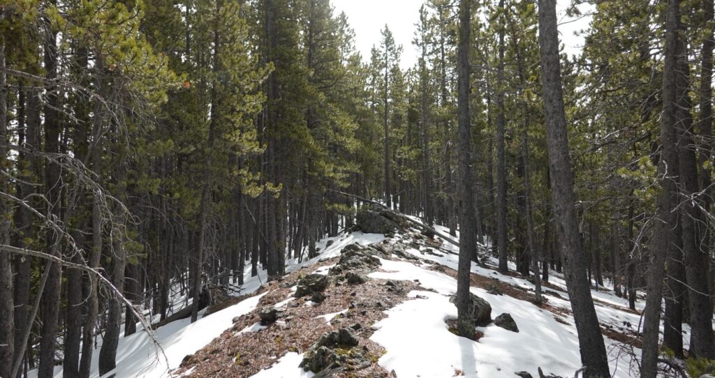 Blue Ridge - Spectacular Mountains